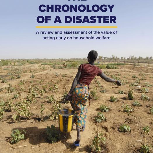 Disaster Risk Finance | GFDRR